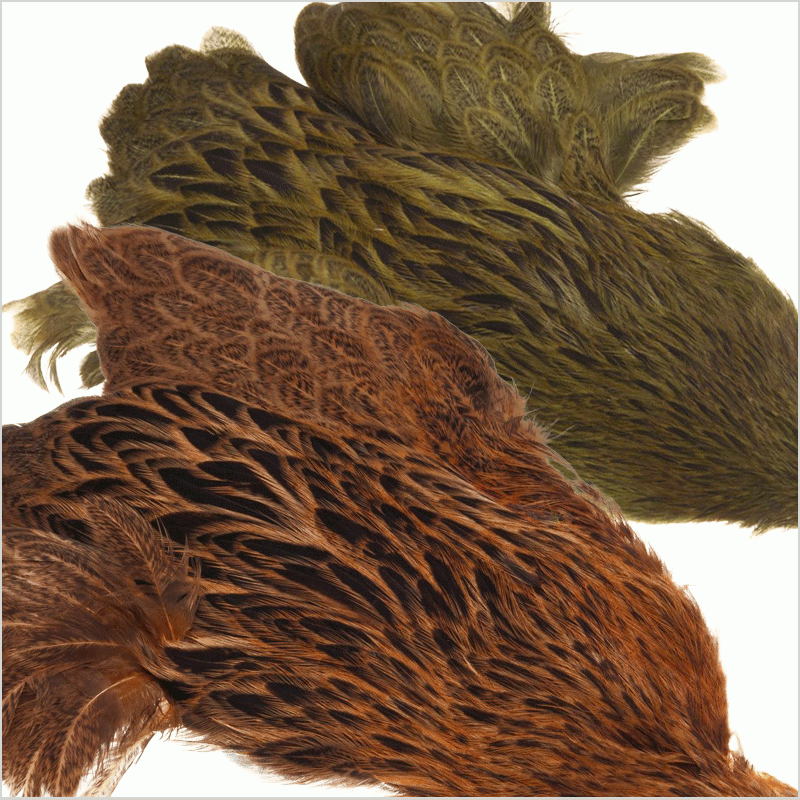 Whiting Brahma Hen Cape | Gallina Brahma – Go-Fish