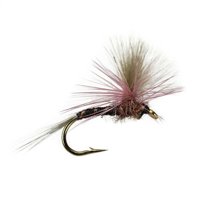 CDC - Dk. Dun Parachute mosca secca │ Go-Fish