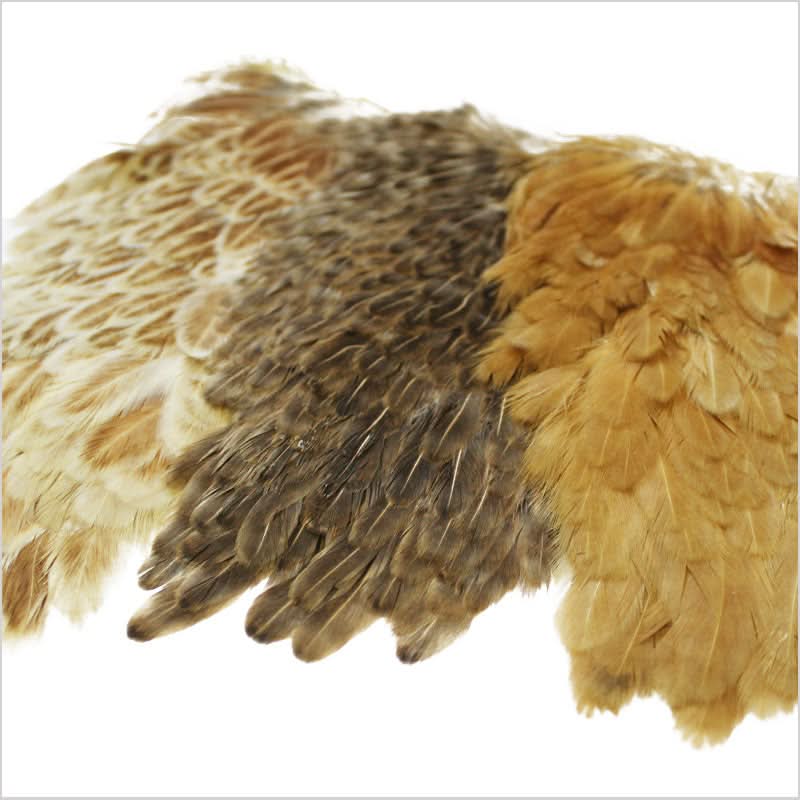 Piume della sella di gallina | Per ninfe, secche & sommerse – Go-Fish